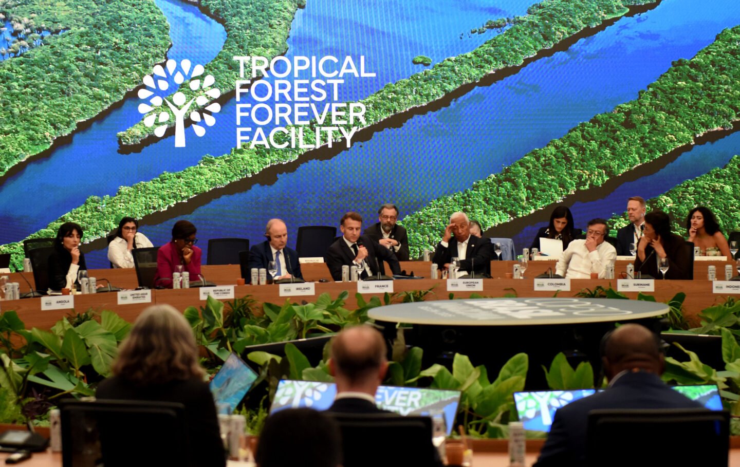 Amazônia no centro do mundo: COP30 cobra resultados reais - Revista ...